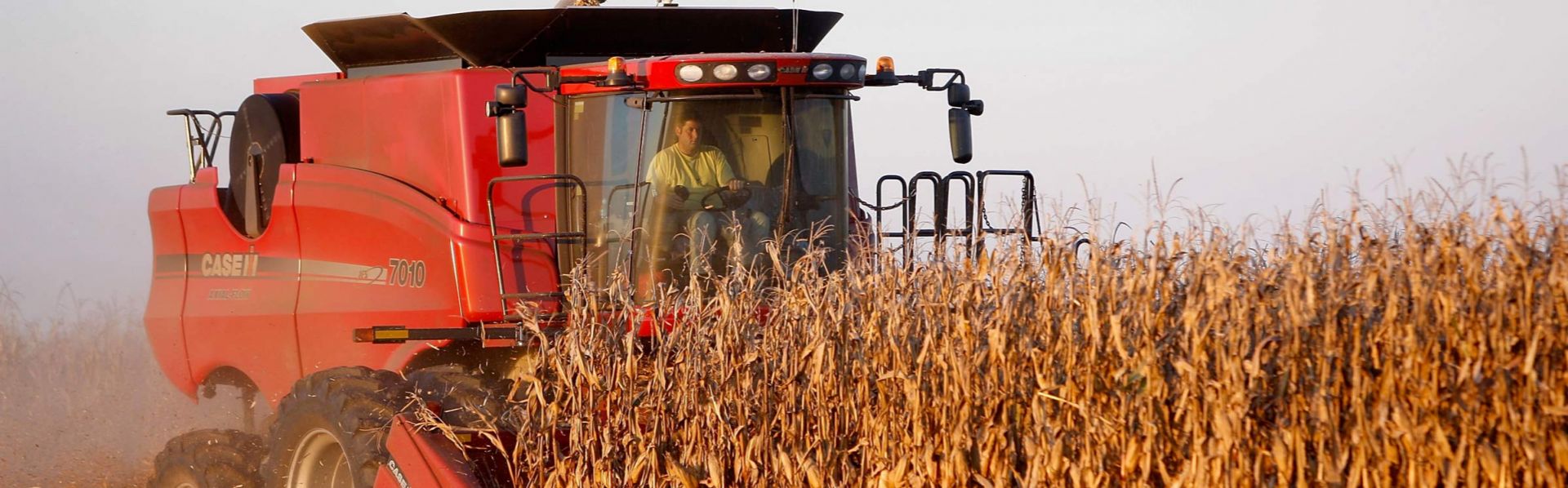 Trade Negotiations Sow Seeds of Doubt for U.S. Agriculture