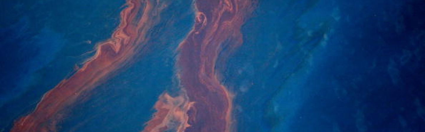 U.S.: The Ramifications of the Deepwater Horizon Oil Spill